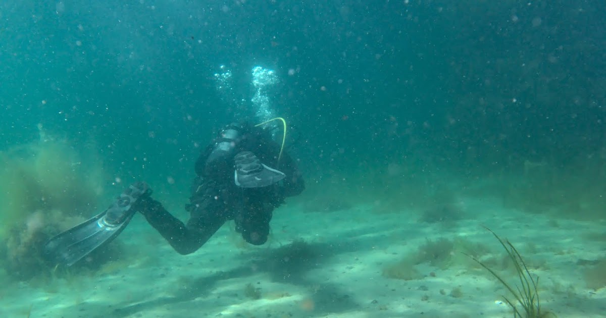 Adventures of a Swedish diver: Släggö 12/7 2020 Clear waters and oopsies