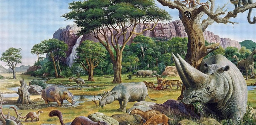 Paleogene Period: Paleogene Peroid Paleogene Period: Paleogene Peroid