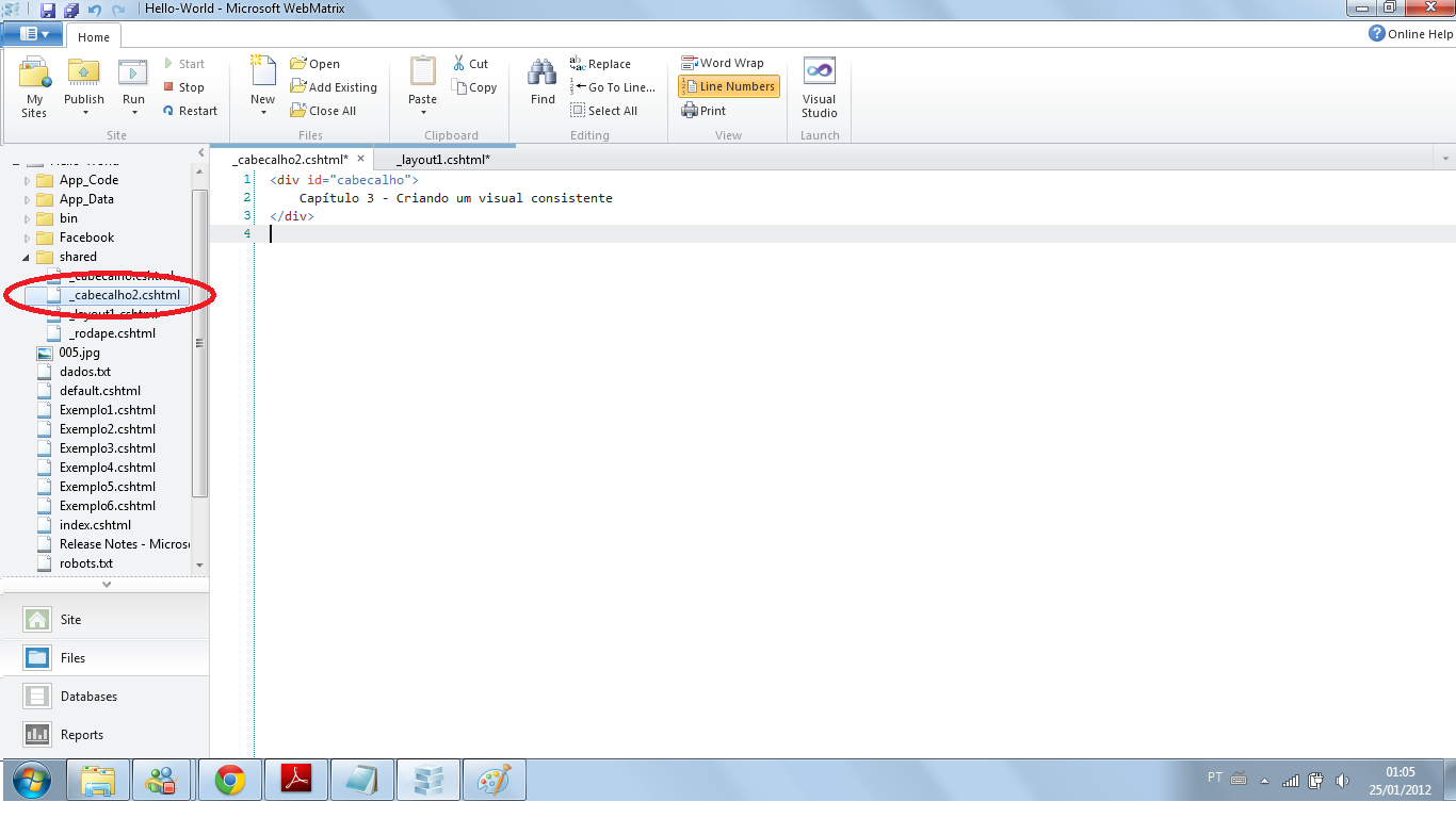 Tutorial Programação Web Aspnet Com Razor Syntax Parte 3 Capítulo 3 Criando Um Visual