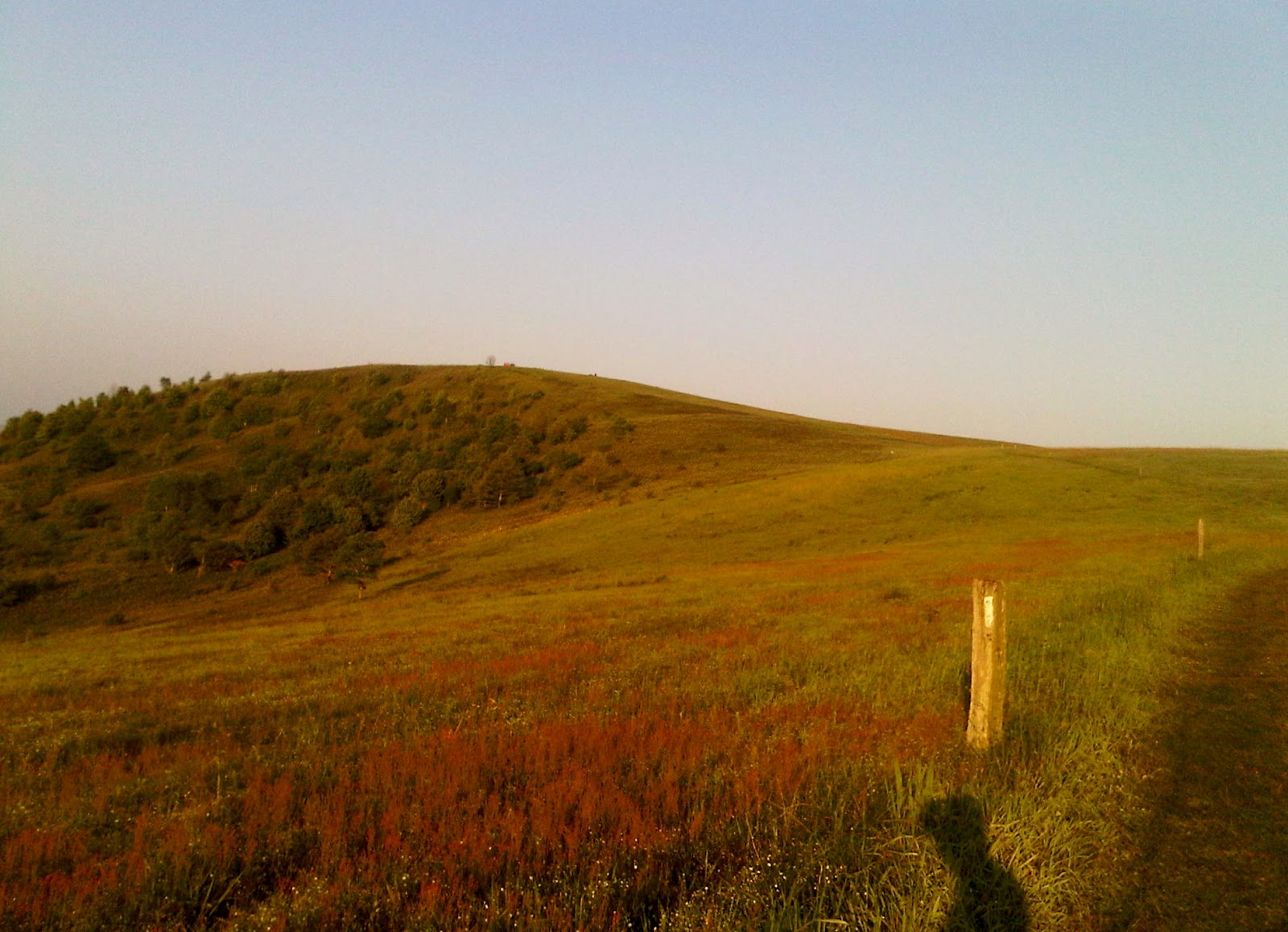 NC BACKCOUNTRY: Max Patch