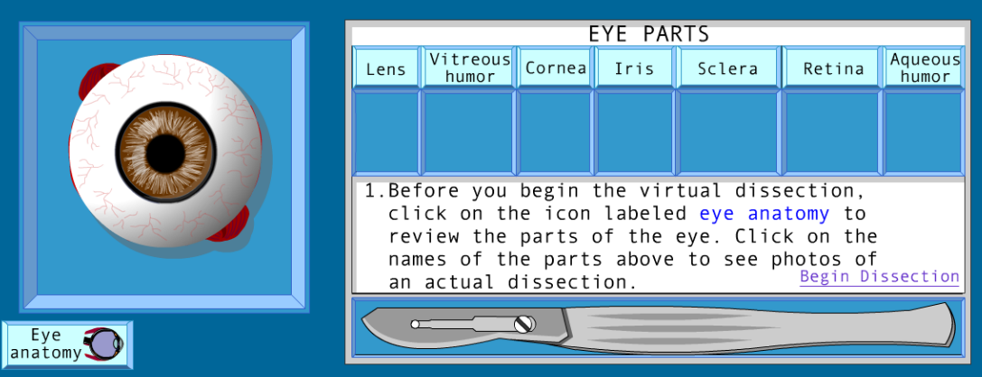 Educational Technology Guy: Virtual Eye Dissection and Eye Anatomy