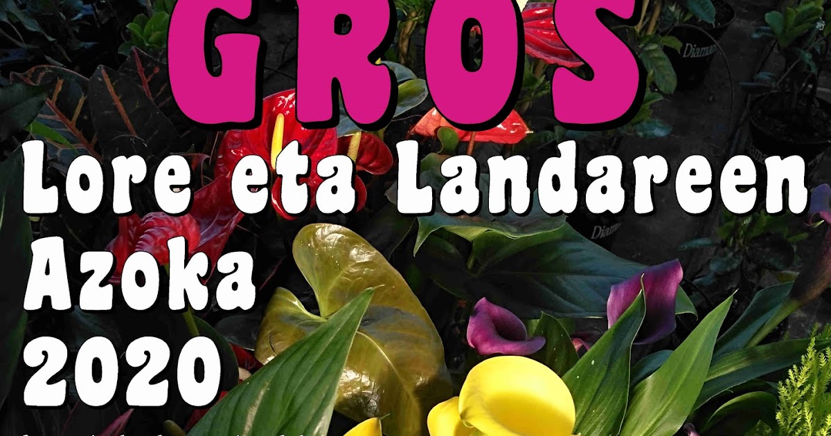 landare azokak: DEKOLORE Natur Azoka - Gros (Donostia) (2020)
