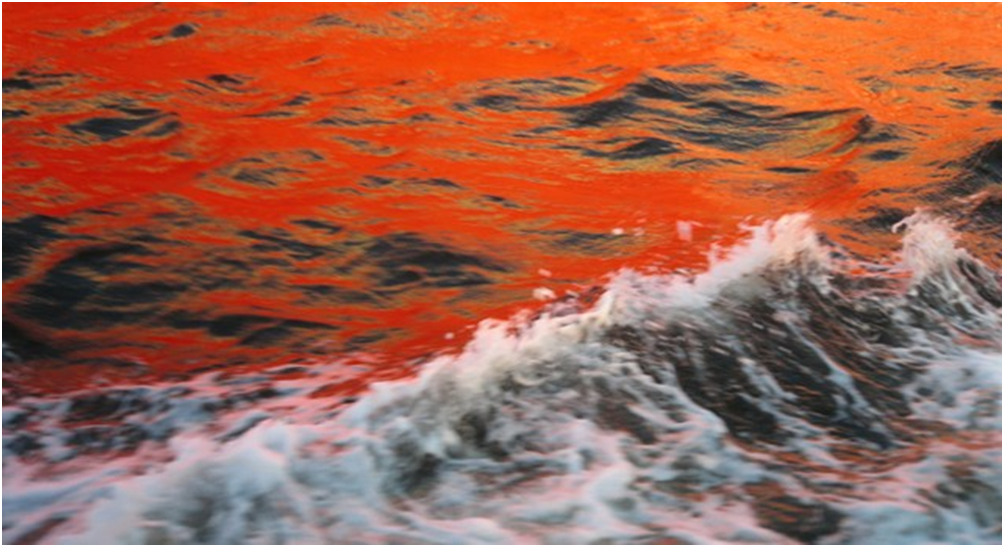 ¿De verdad es rojo el Mar Rojo? - Los Cantos de Gaia