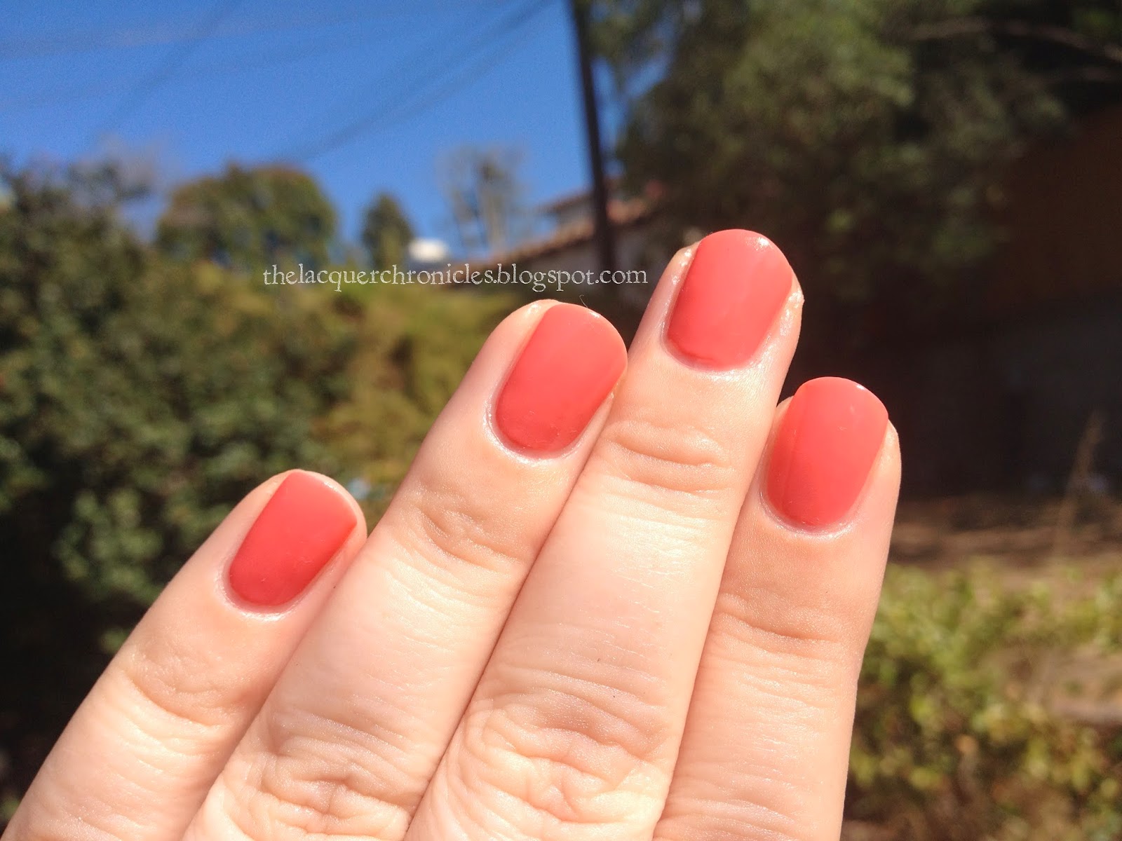 The Lacquer Chronicles: Zoya Maya
