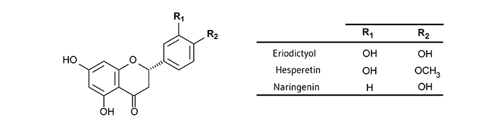Keragaman dan Keunikan Struktur Kimia Flavonoid - E-Chemistry