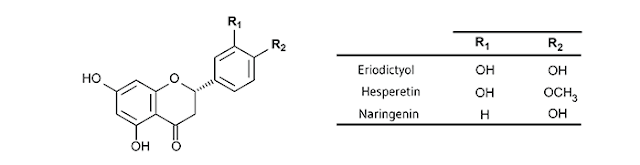 Keragaman dan Keunikan Struktur Kimia Flavonoid - E-Chemistry