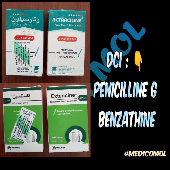 Les Antibiotiques _Pénicilline - Para Mol