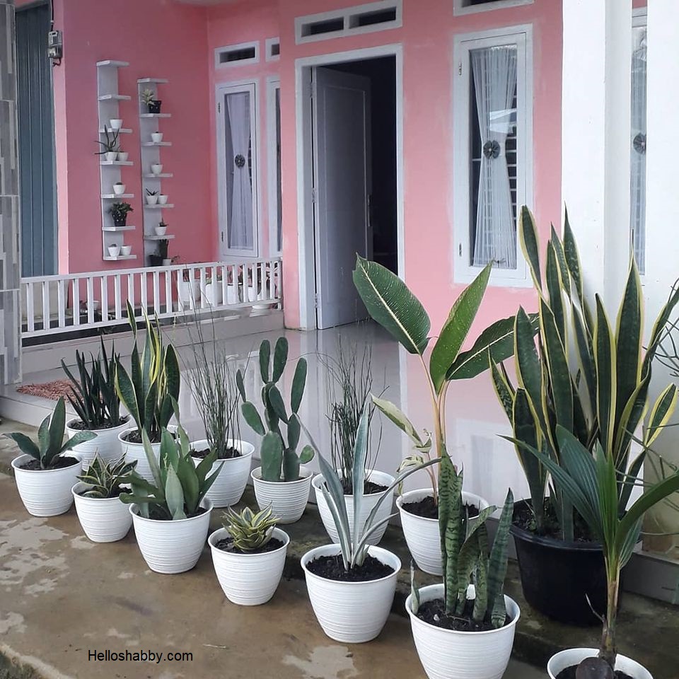 A Classy and Elegant Pink House Design, That Simple and Easy to Try at ...