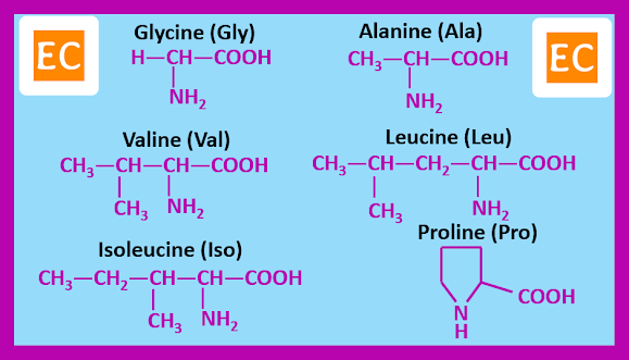 ELEMENTAL CHEMISTRY: Essential Amino Acids