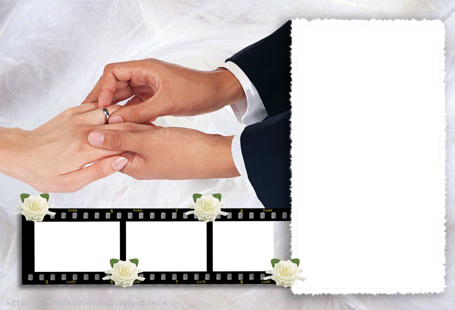 Wedding Album: Wedding Album Design