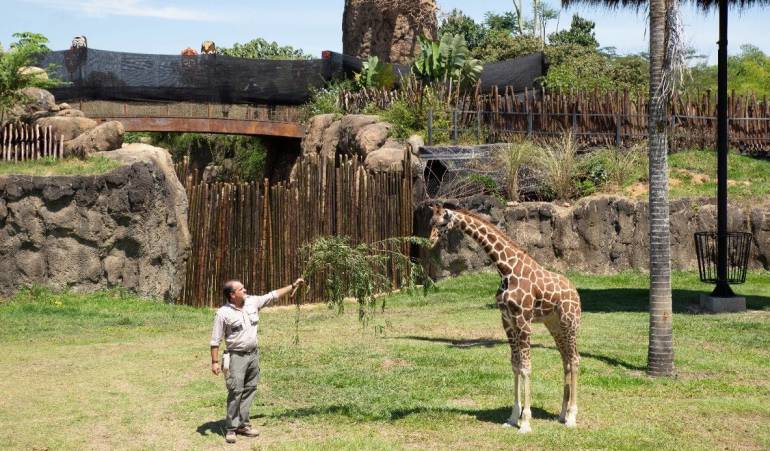Bioparque Parque Ukumari
