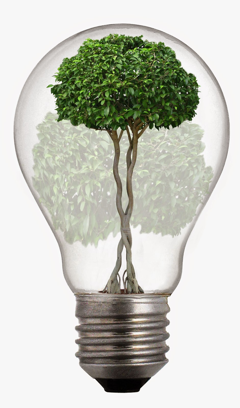 ZIOGRAPHICS: LIGHT BULB WITH TREE