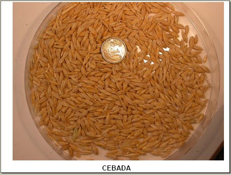 Alimentacion y Nutrición Animal