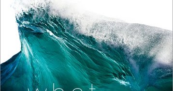 The Page 99 Test: Craig Callender's "What Makes Time Special?"