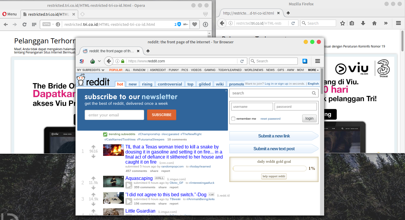 Cara Mengakses Website Yang Diblokir - Diary Config