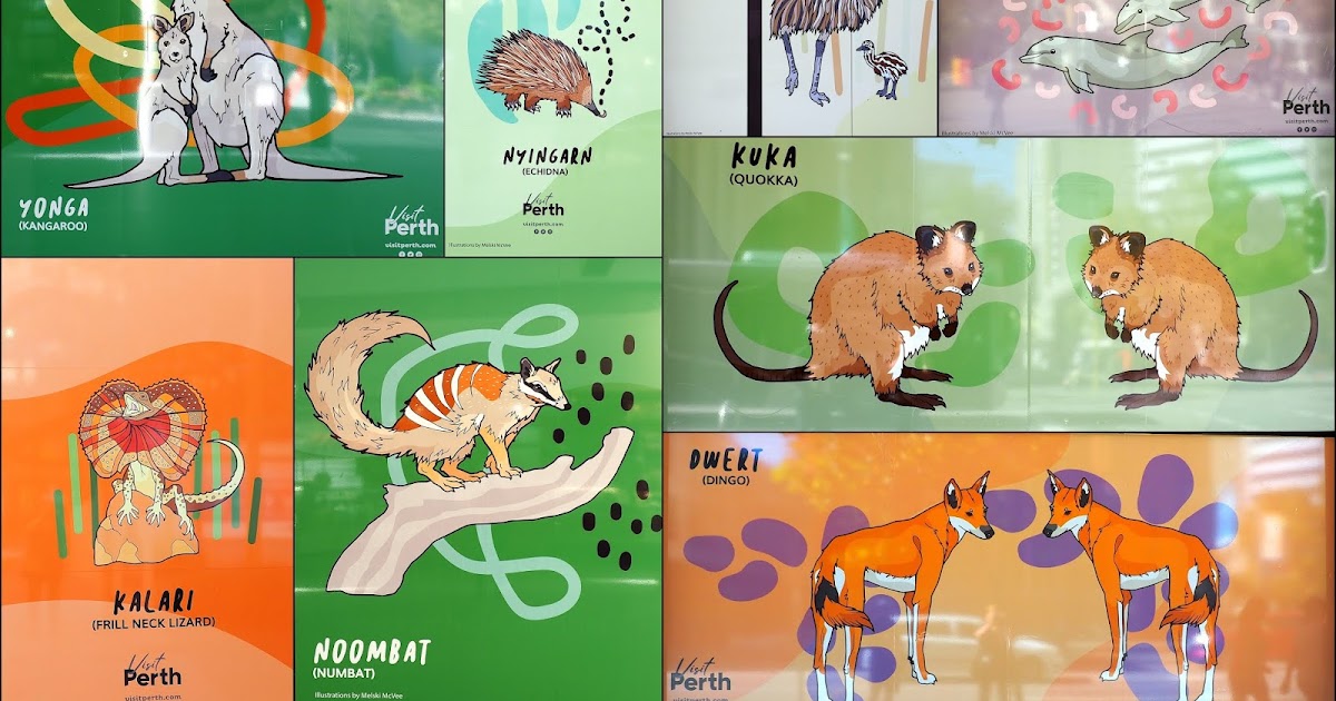 Perth Daily Photo : Makuru.. winter.