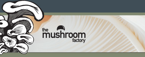 Covet: The Mushroom Factory