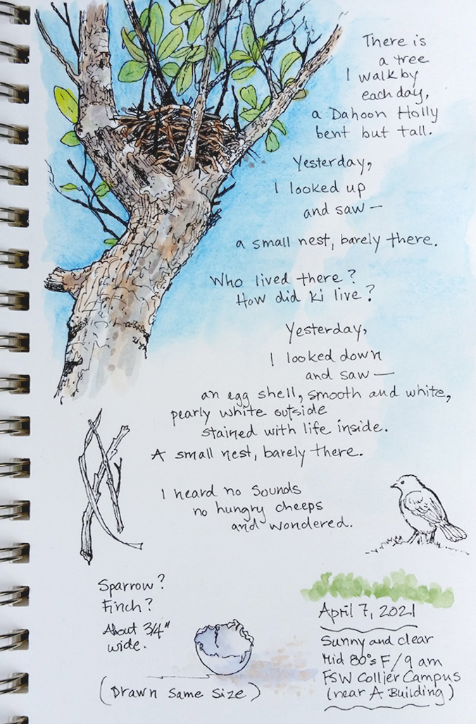A Nature Art Journal
