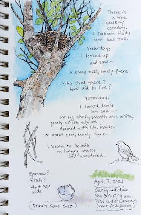 A Nature Art Journal: An experiment in nature writing – changing a two ...