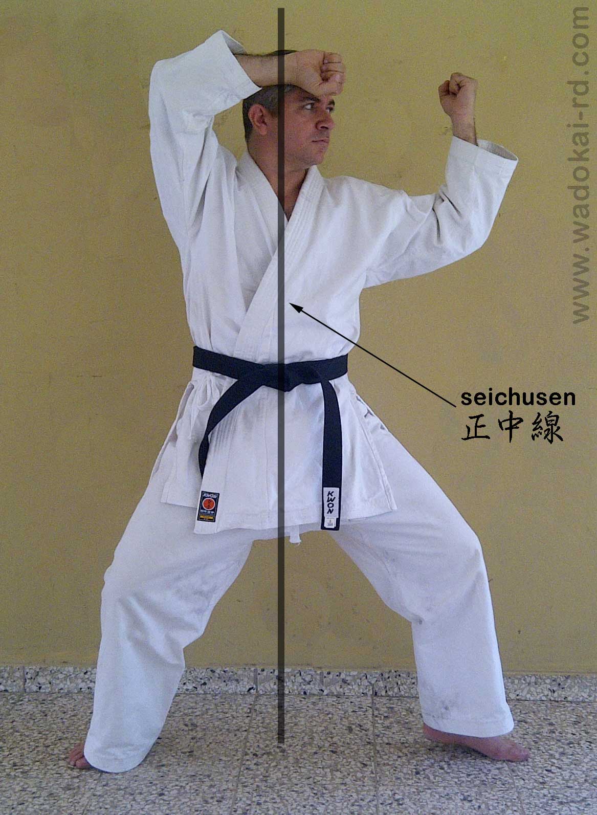 Kazoku Dojo Wadoryu: Embusen y Seichusen