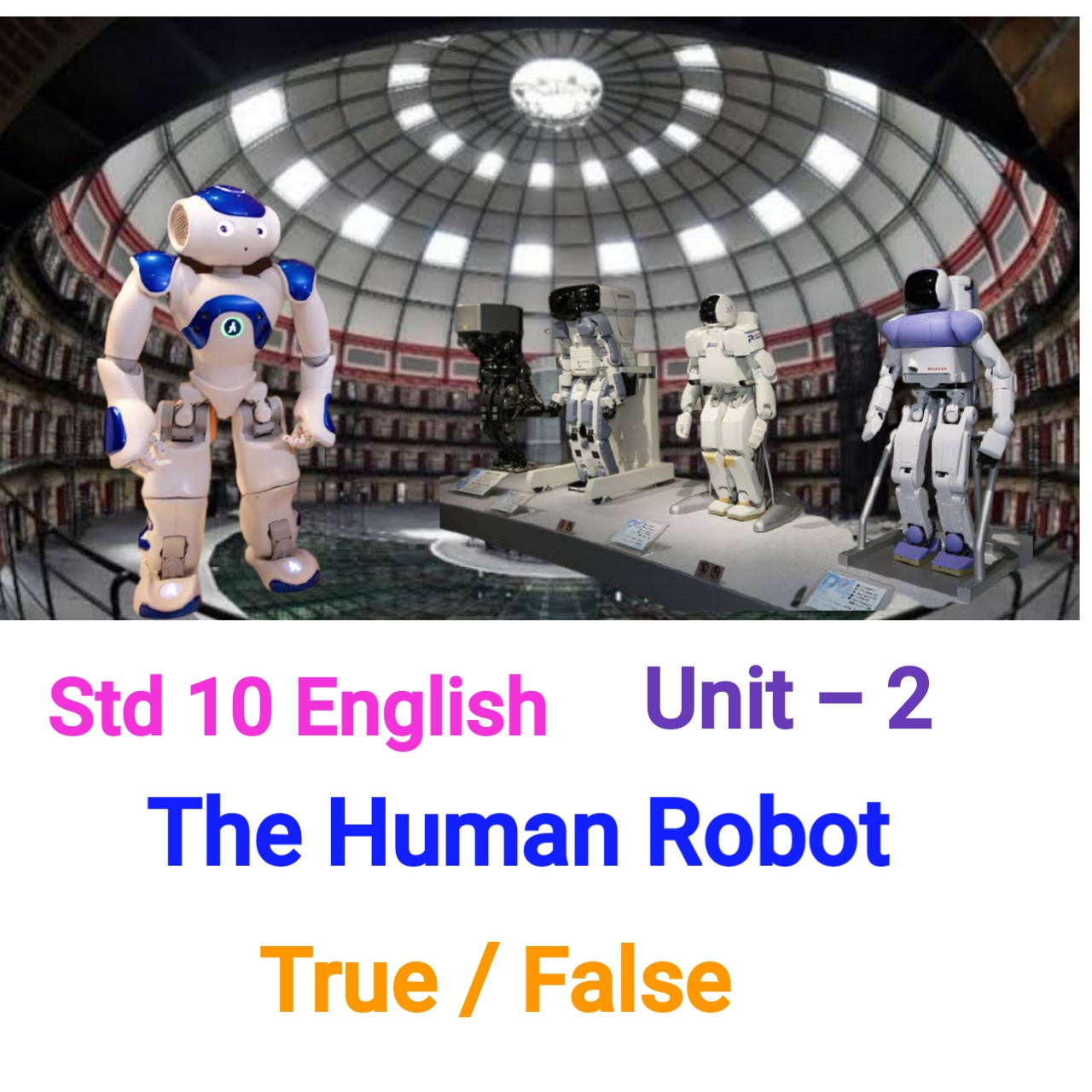 Std 10 English Unit 2 The Human Robot True / False
