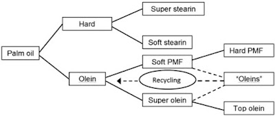 Palm fat as partial hydrogenated fat replacement in: Fat spread & cocoa ...