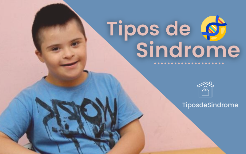 Los Tipos de Sindrome | Tipos de Sindrome