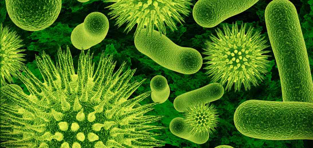 Concepto de biología - Biología