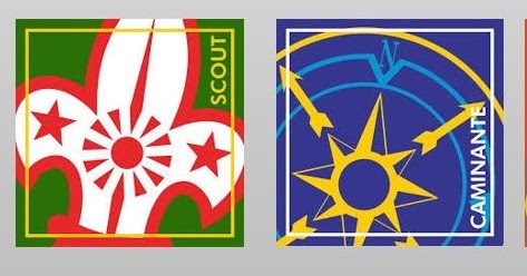 ¿Y qué hacen los scouts?