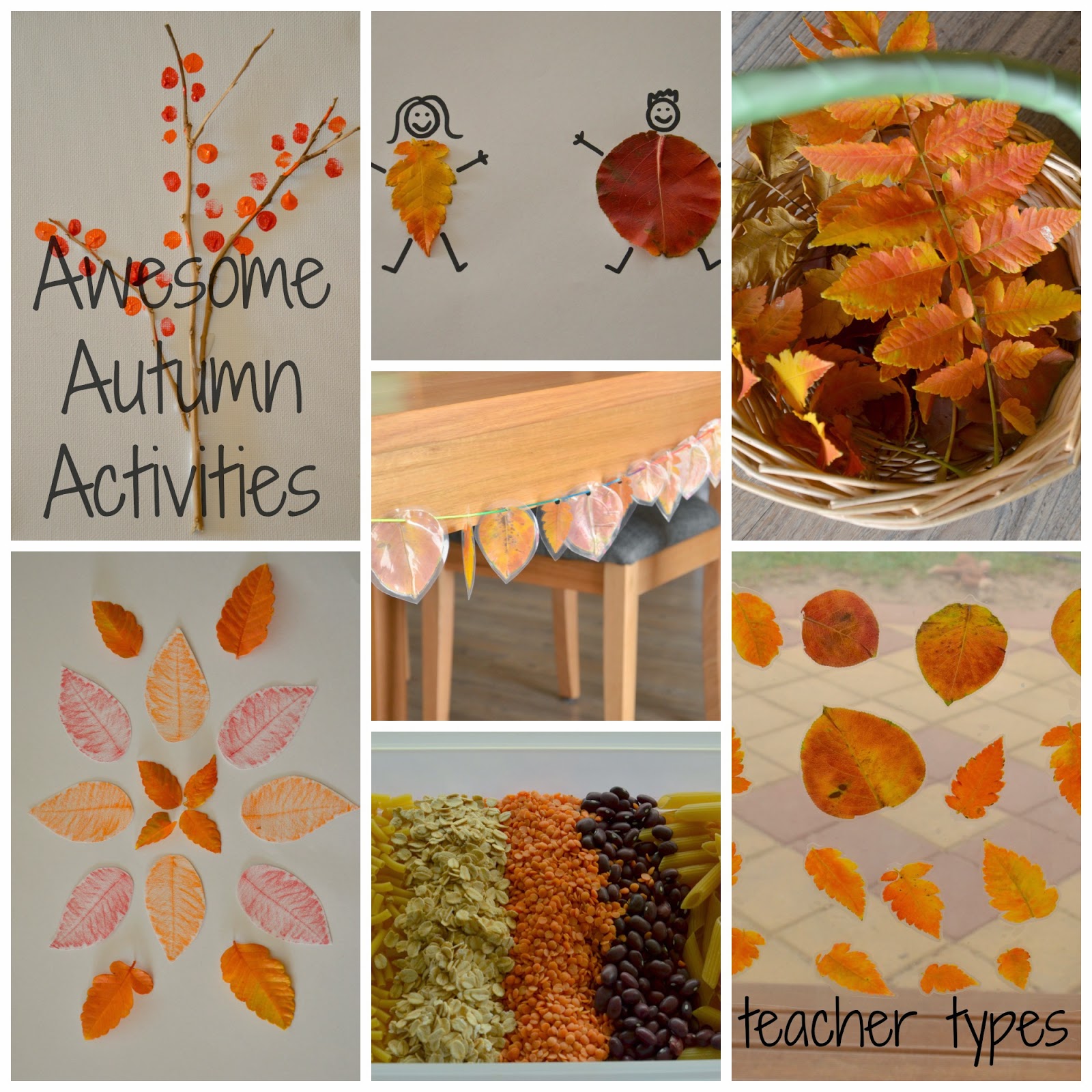 Activity Ideas for the Four Seasons {Wrap Up Post} - Teacher Types