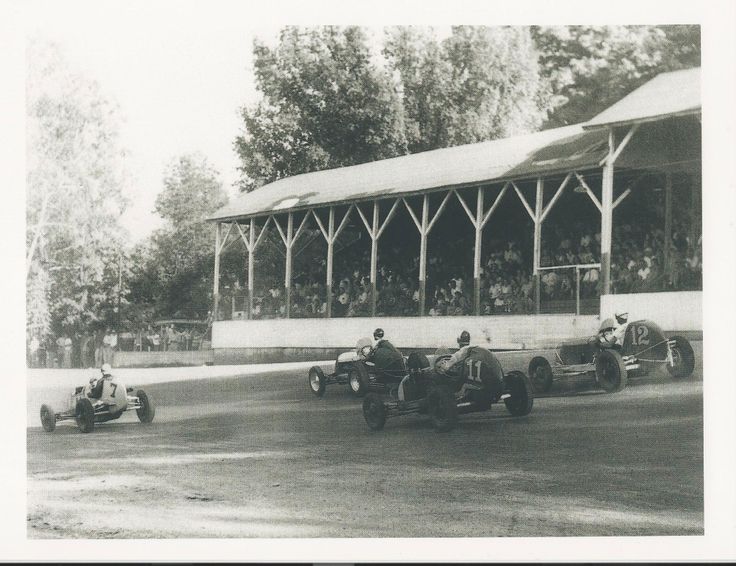 The 520 Chain Cafe: Jungle Park Speedway