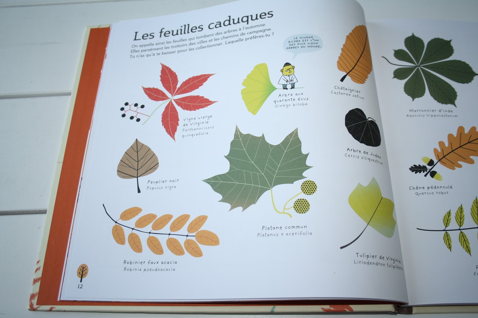 Tout sur l'automne de Charline Picard et Clémentine Sourdais - MvWm ...