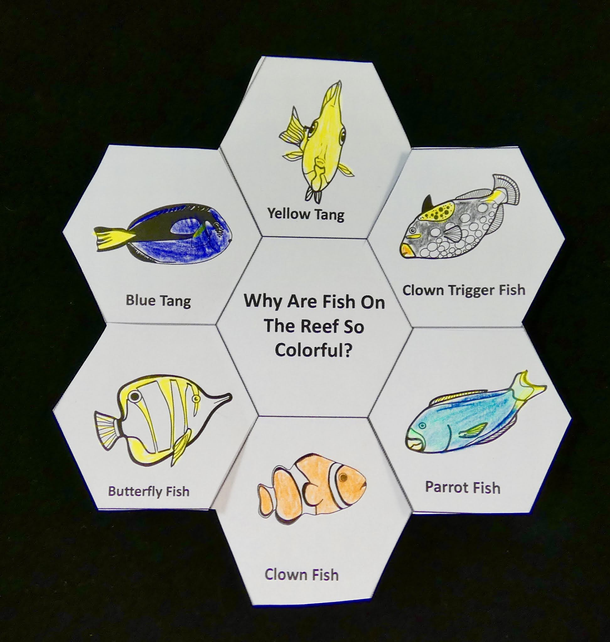 Coral Reef Close Reading Science Unit - Teaching Science with Lynda R ...