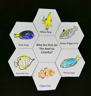 Coral Reef Close Reading Science Unit - Teaching Science with Lynda R ...