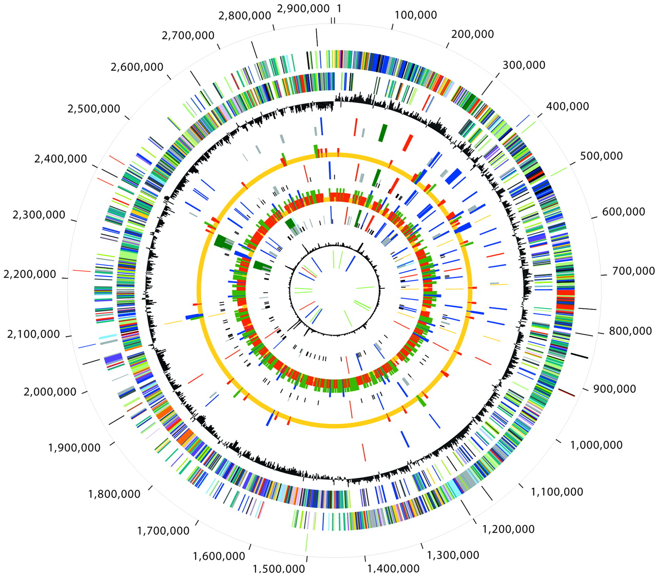 microBIO: ¿Evolución por selección o por azar?