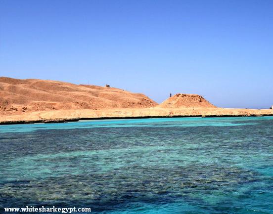 Trip to the Nabq Bay Natural Reserve from Sharm El Sheikh