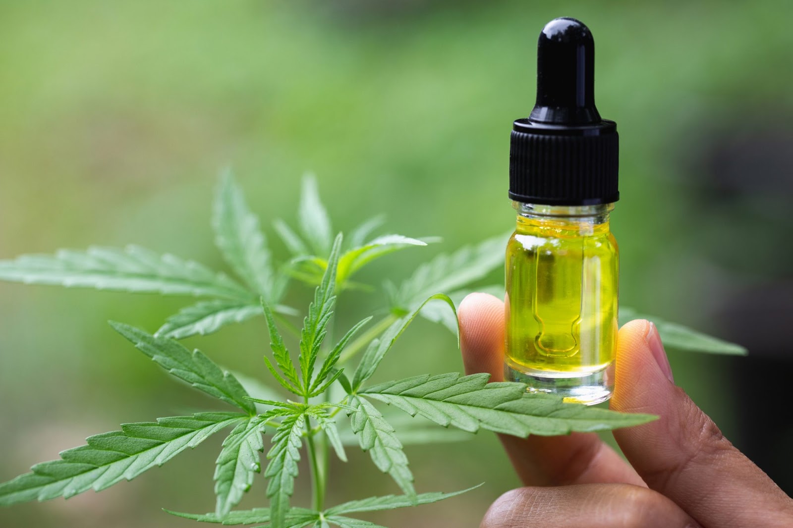 CBD Types Explained cbd-types-explained