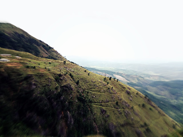 ලින්කන්ගෙ වෙබ් පිටුව: ඔහිය සිට යකාගේ පඩිපෙල පසුකර බඹරකන්ද දියඇල්ලට ...