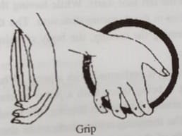 Discus Throw | How to throw a Discus | Types of Skills in Discus Throw