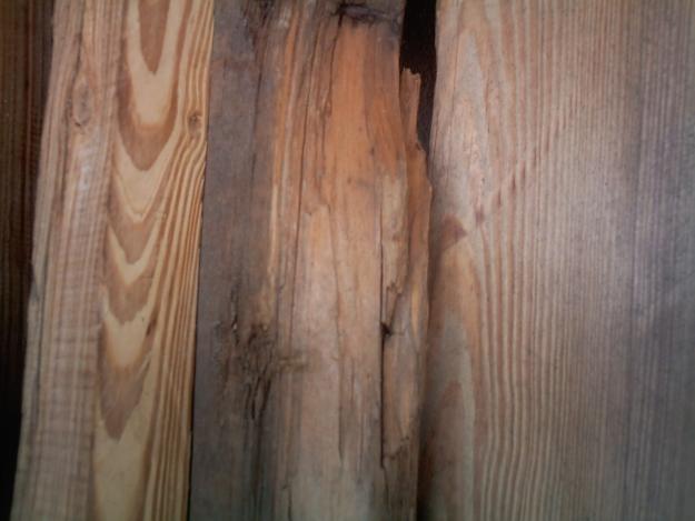 Madeira Entalhada: MADEIRA: PINHO DE RIGA