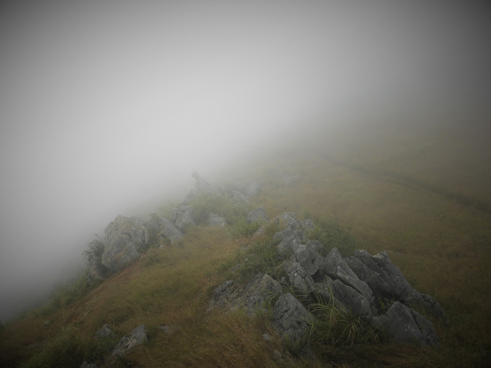 Mt. Yangbew in La Trinidad, Benguet Engulfed by a Sea of Clouds and Mist