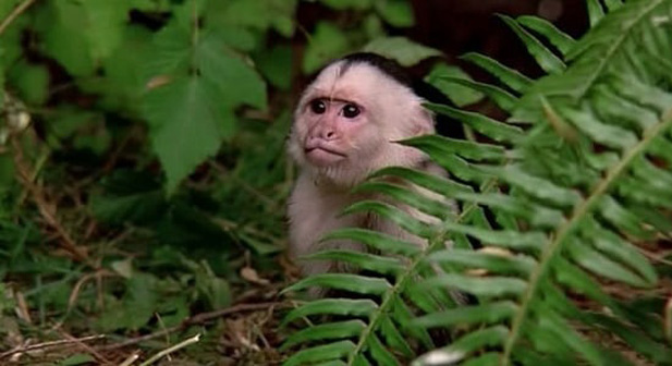 Movies That Motivate | The Adventures of Motivatorman!: Tip#1189 ...