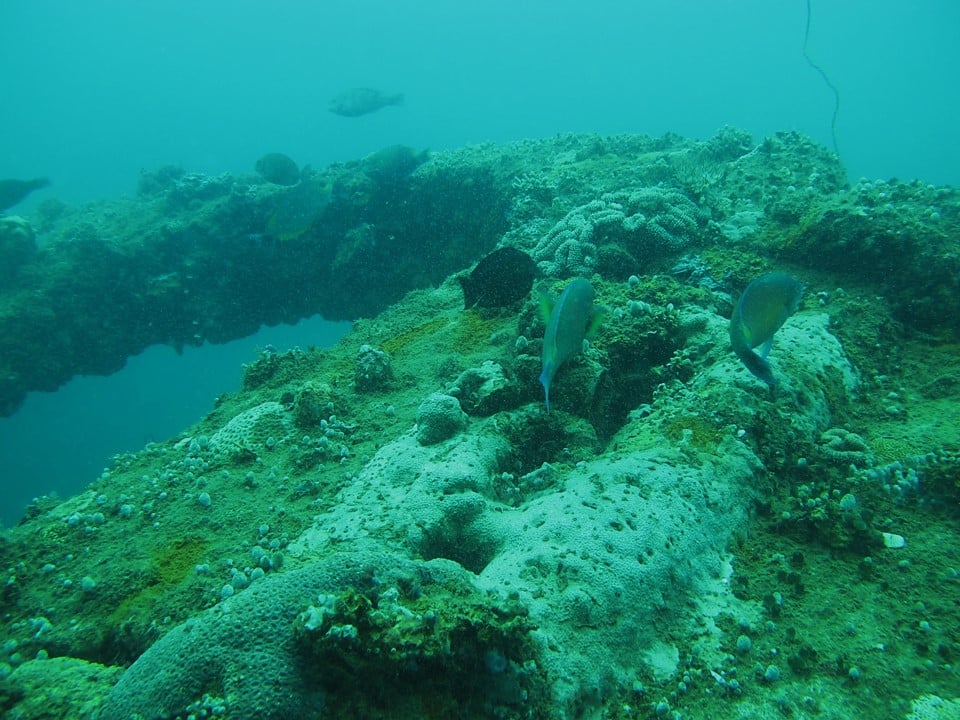 World Naval History - The most known World War II Shipwrecks - El ...