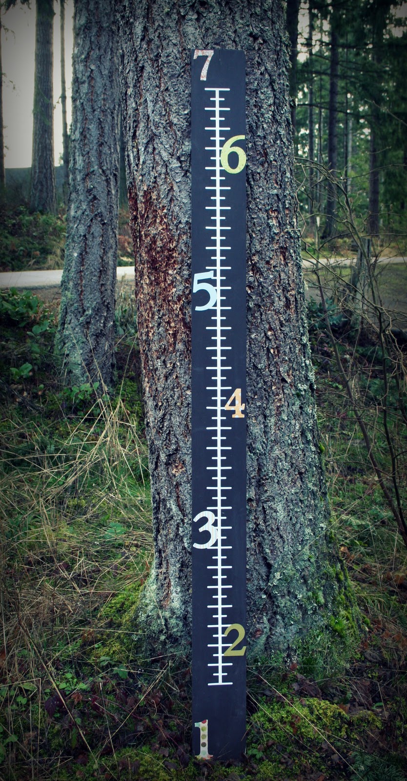 Sweet Daisy Designs: Growth Chart Tutorial