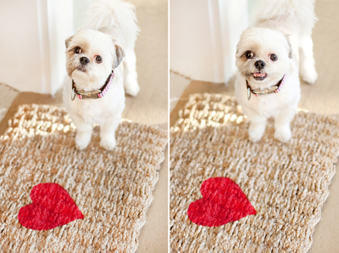 DIY Valentine Welcome Rug + Canine Couples - Chic Sprinkles