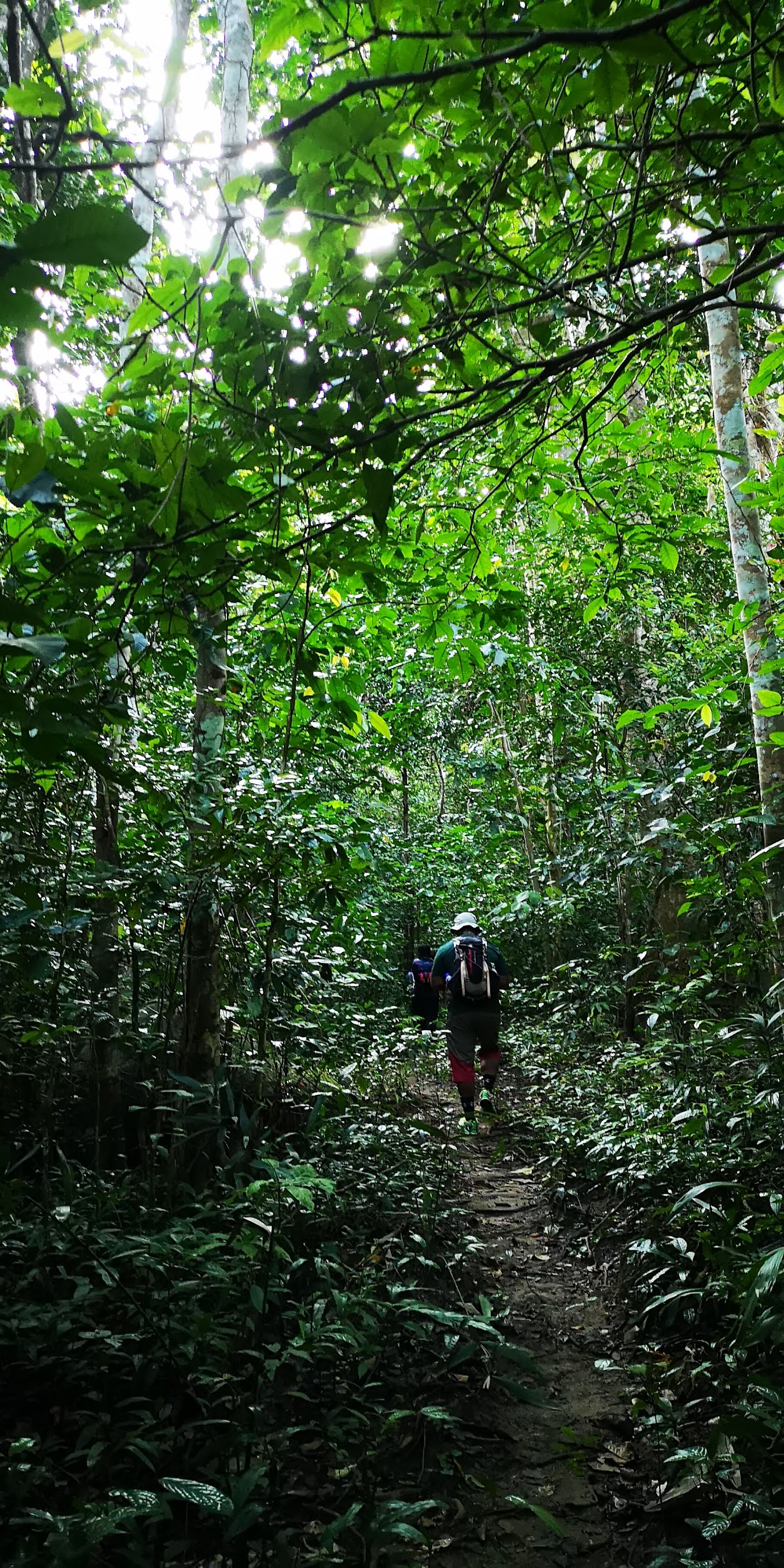 Celoteh Kak Yang: Gunung Kuang, Langkawi, Kedah
