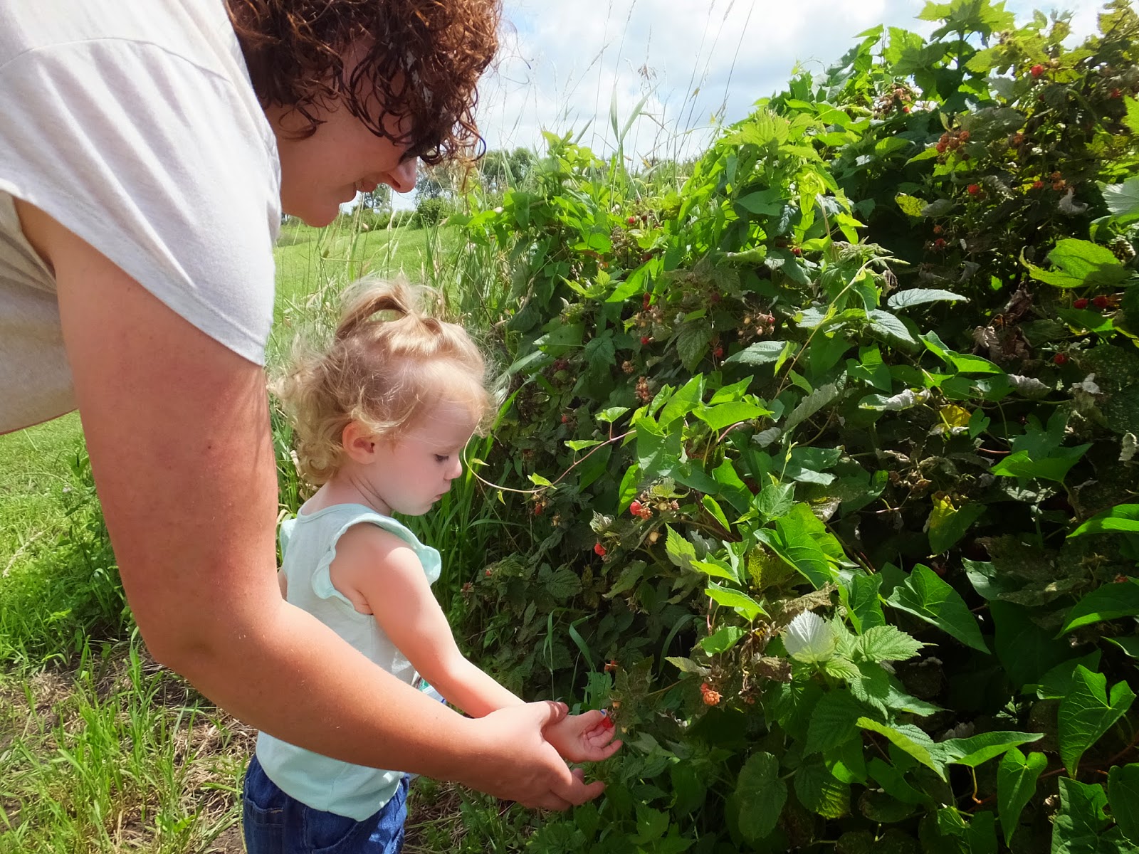 Kidspert: Let's Go Berry Picking