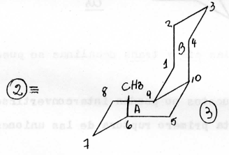 Propanona: Estereoquímica V: Decalina y otros sistemas policíclicos