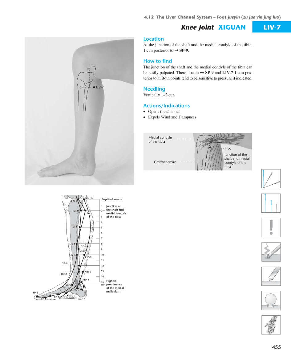 Acupuncture Masters: Acupuncture Points Database - Liver Channel