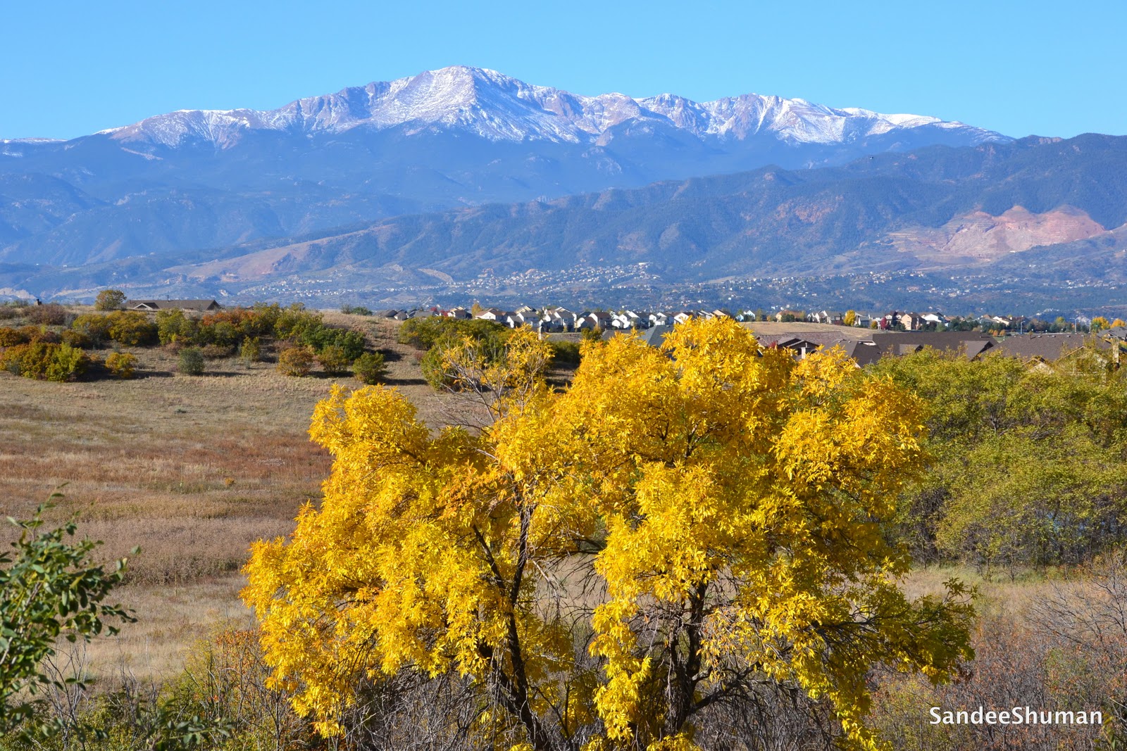 Shustrings: Fall in Colorado Springs